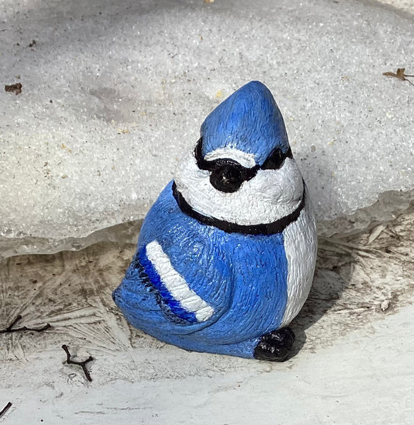 Baby BlueJay Concrete Statue – Martello Alley
